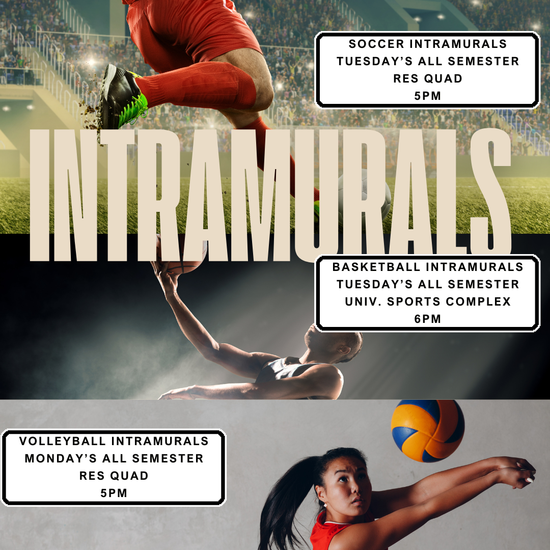 Loyola University New Orleans Intramural Sports | Loyola University New ...